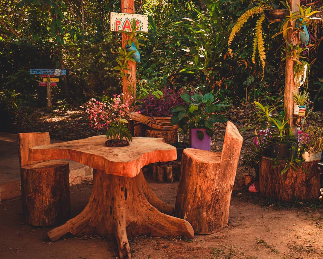 Pontos turísticos de Alta Floresta-MT que você precisa conhecer ...