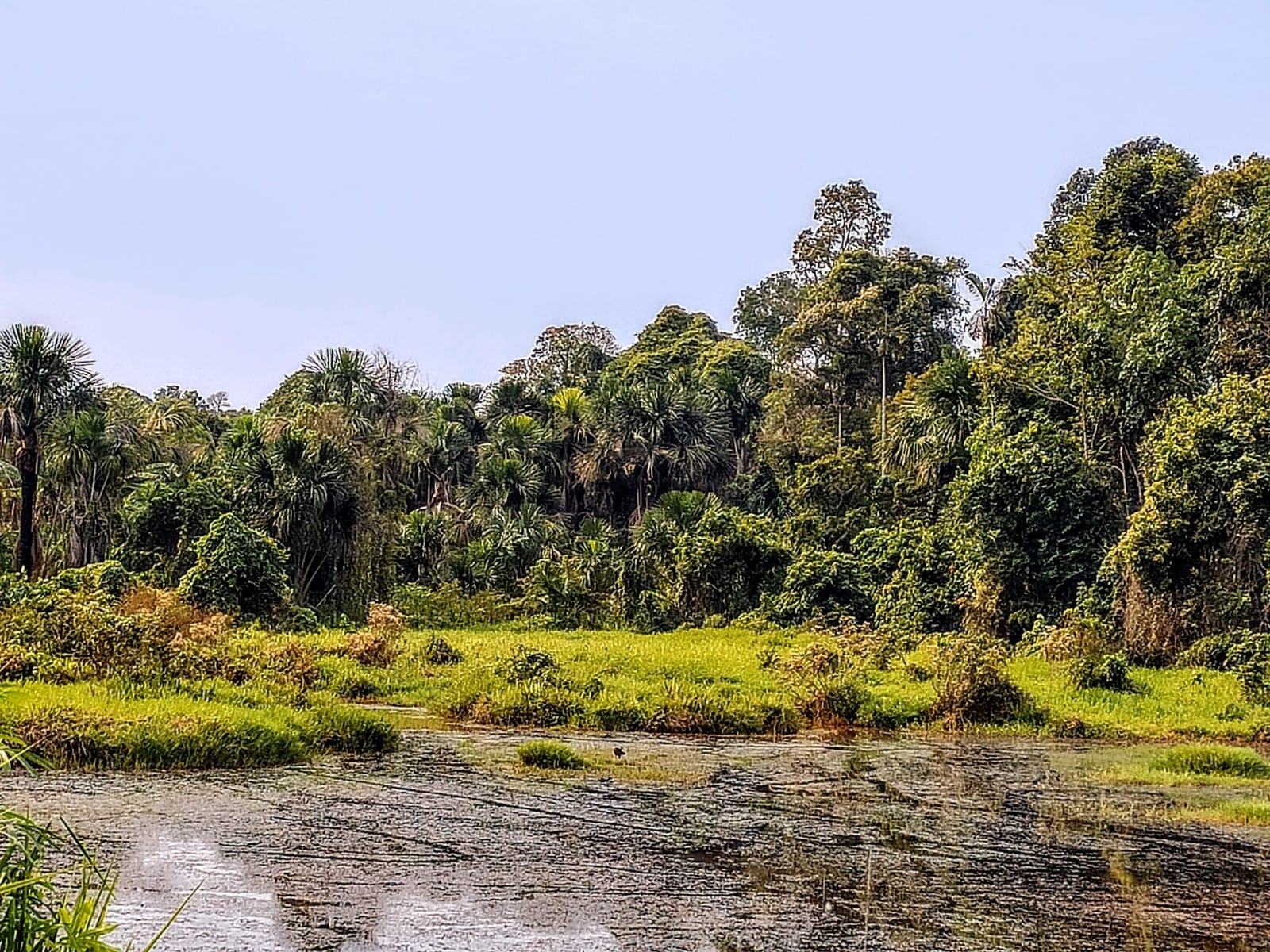 GPE aponta que iniciativa desenvolvida em Alta Floresta está sendo ...